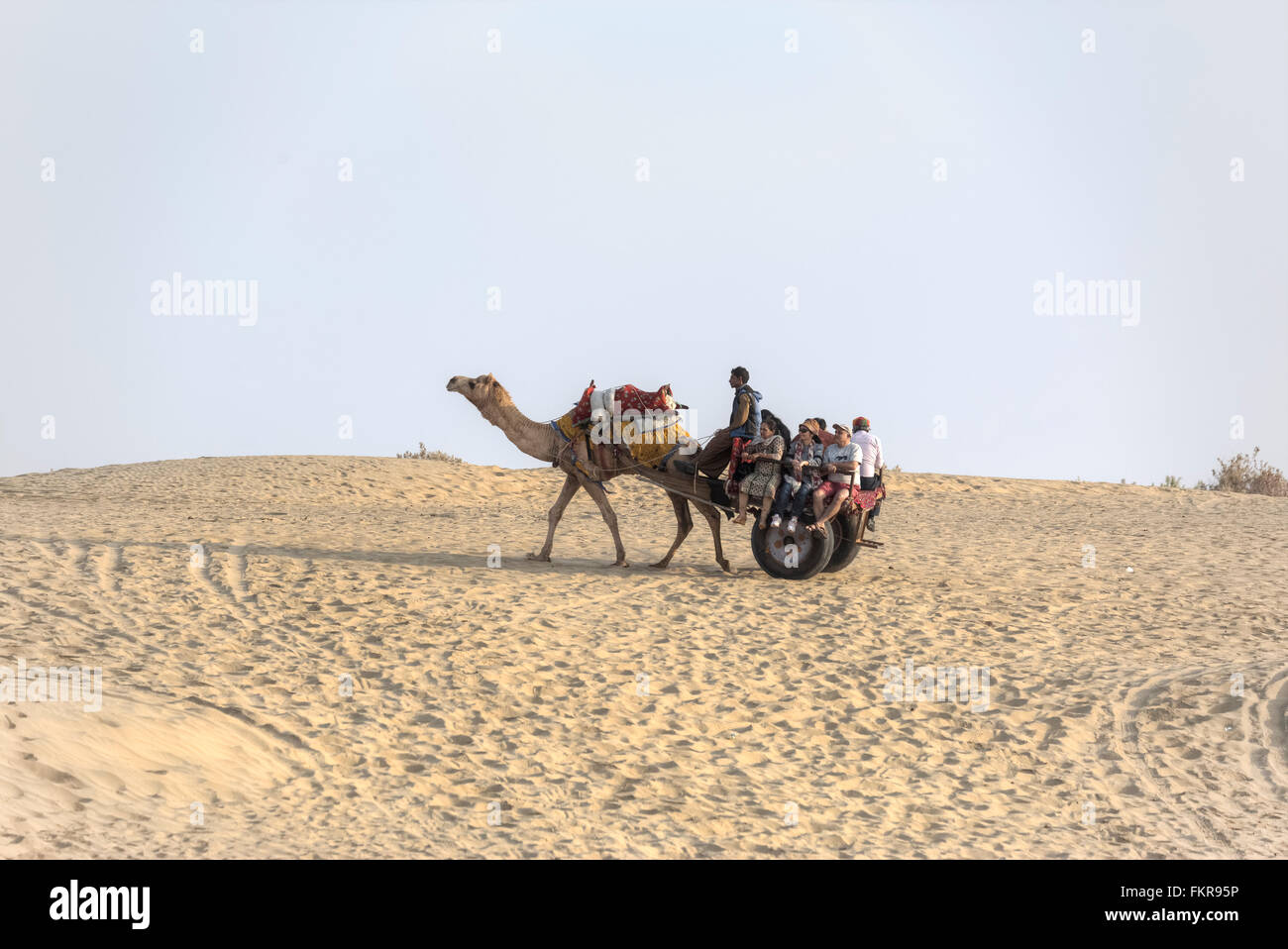 camel carriage in the Thar desert, Rajasthan, India Stock Photo - Alamy