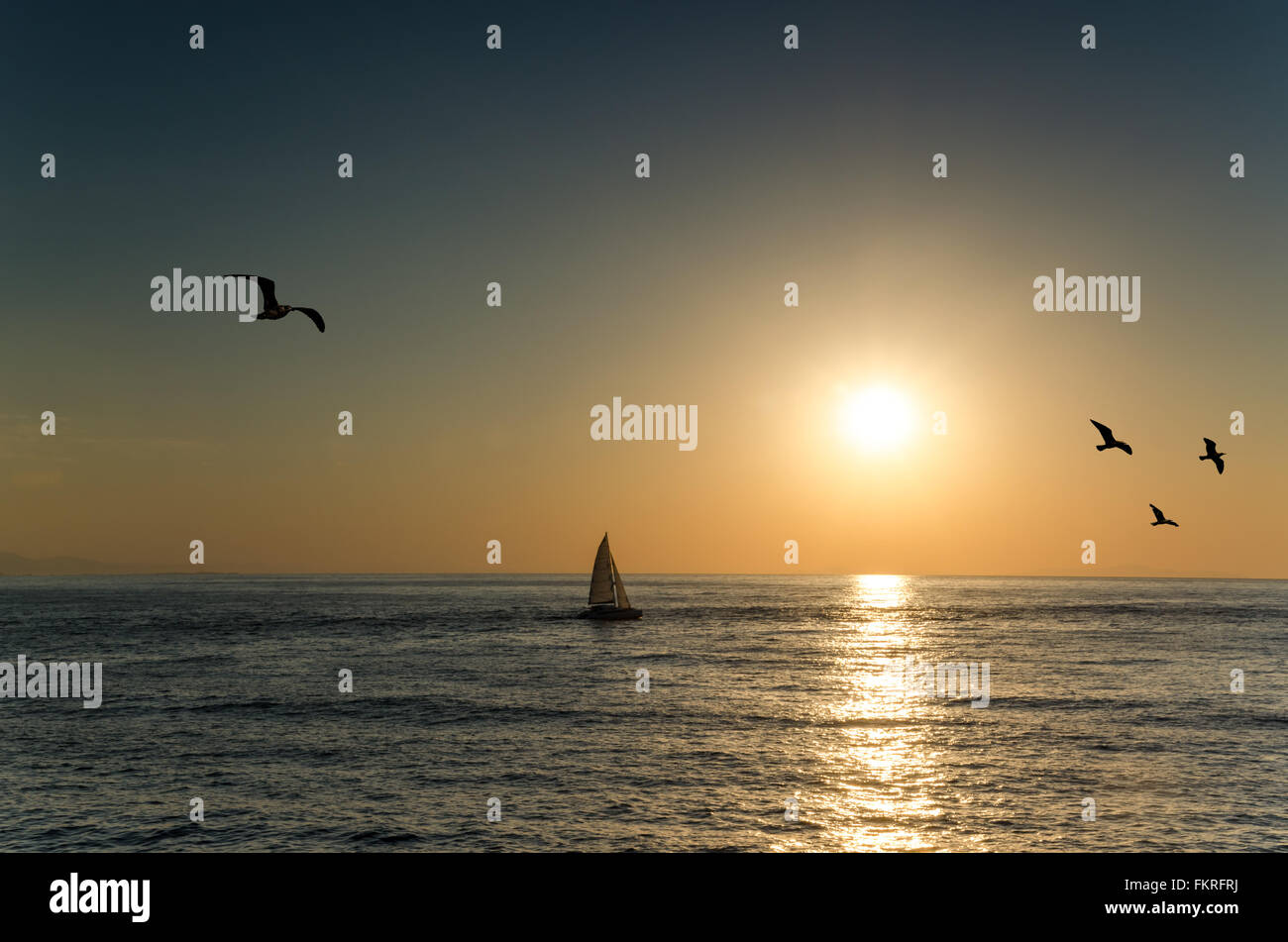 Sunrise scene with a sailboat and seagulls Stock Photo - Alamy