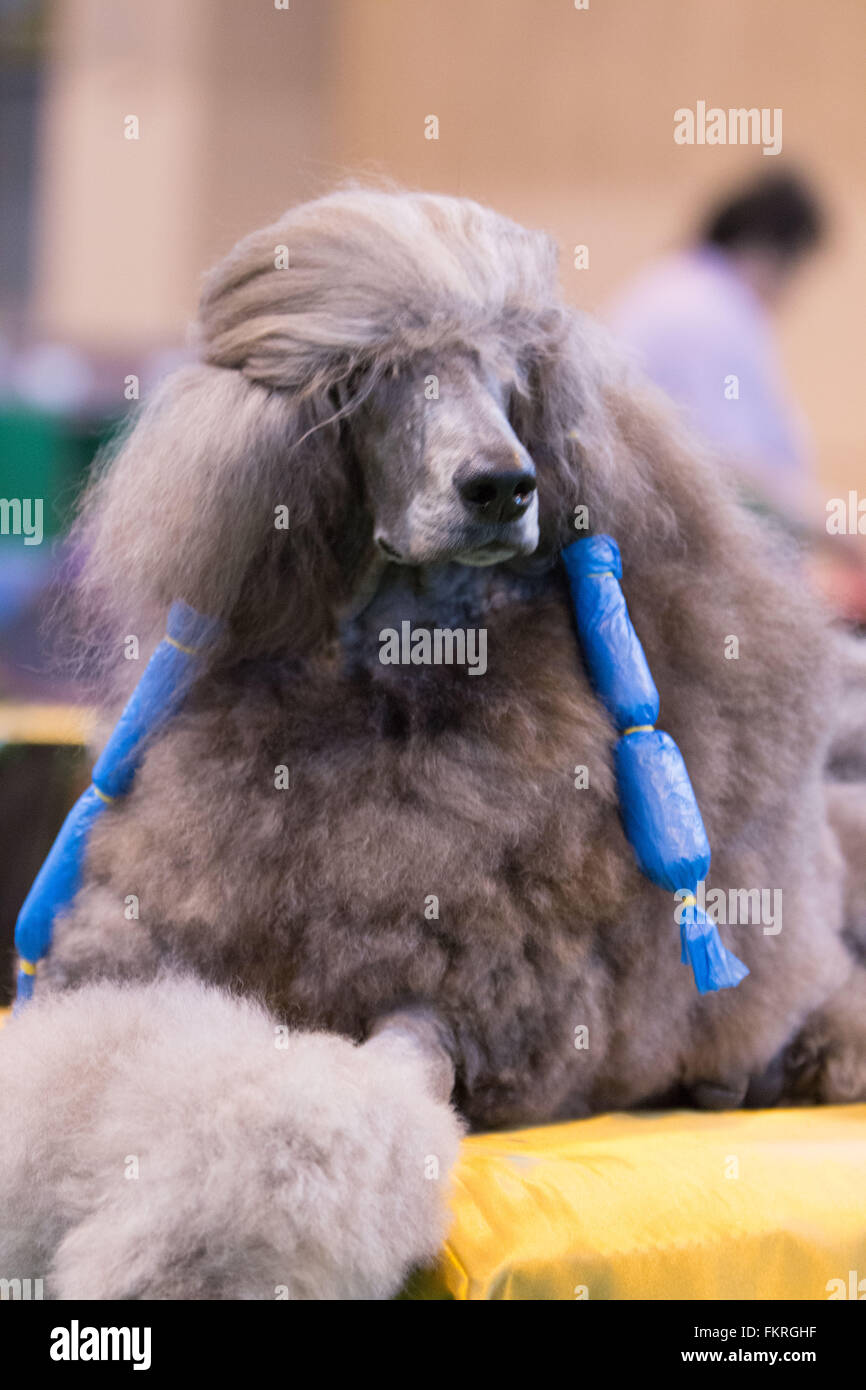 Ear features hi-res stock photography and images - Alamy