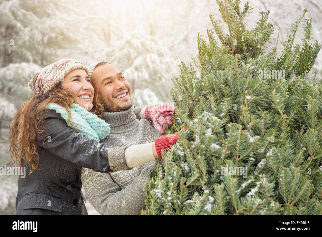 Couple hugging at Christmas tree farm Stock Photo - Alamy