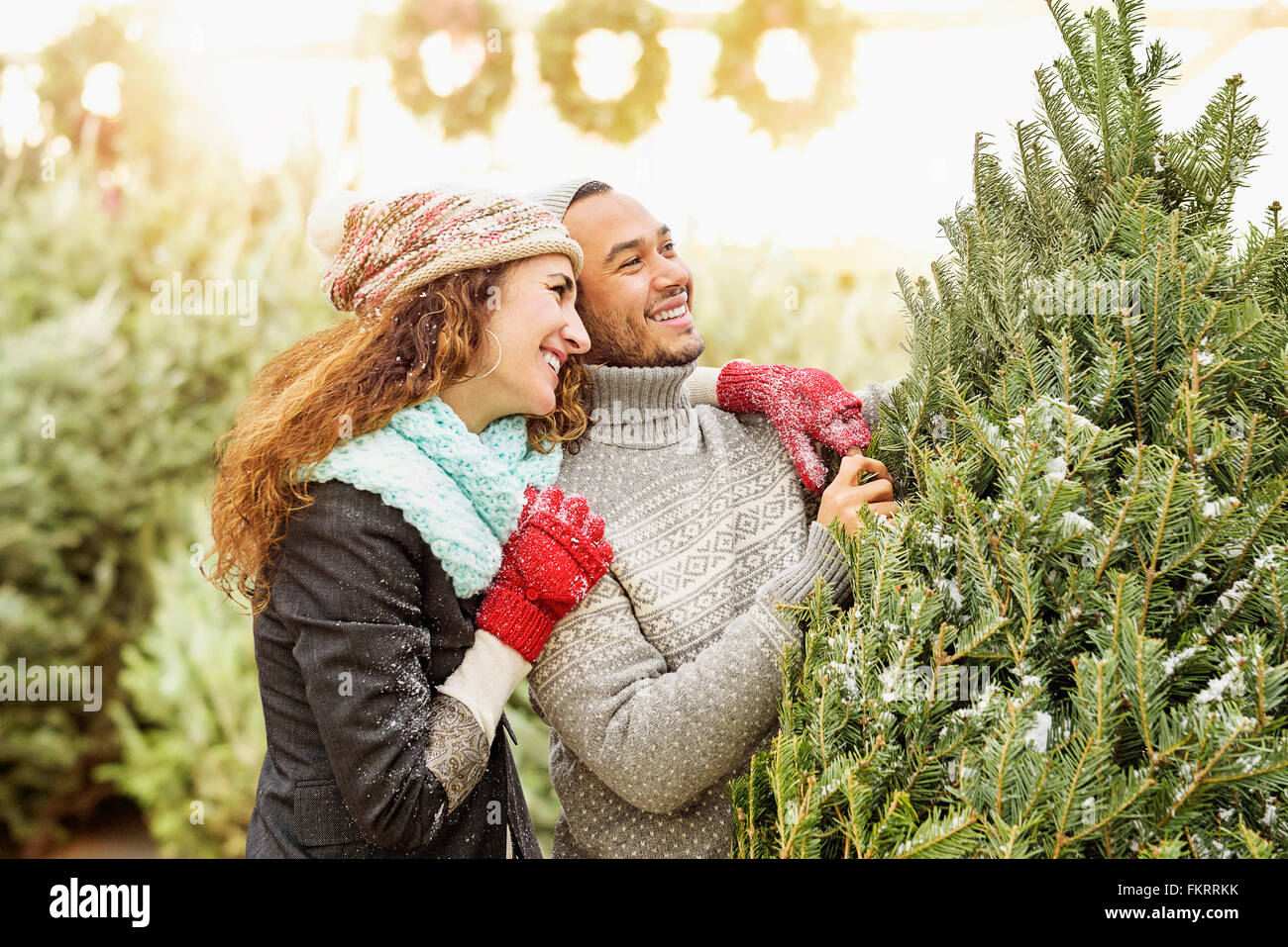 Couple hugging at Christmas tree farm Stock Photo - Alamy