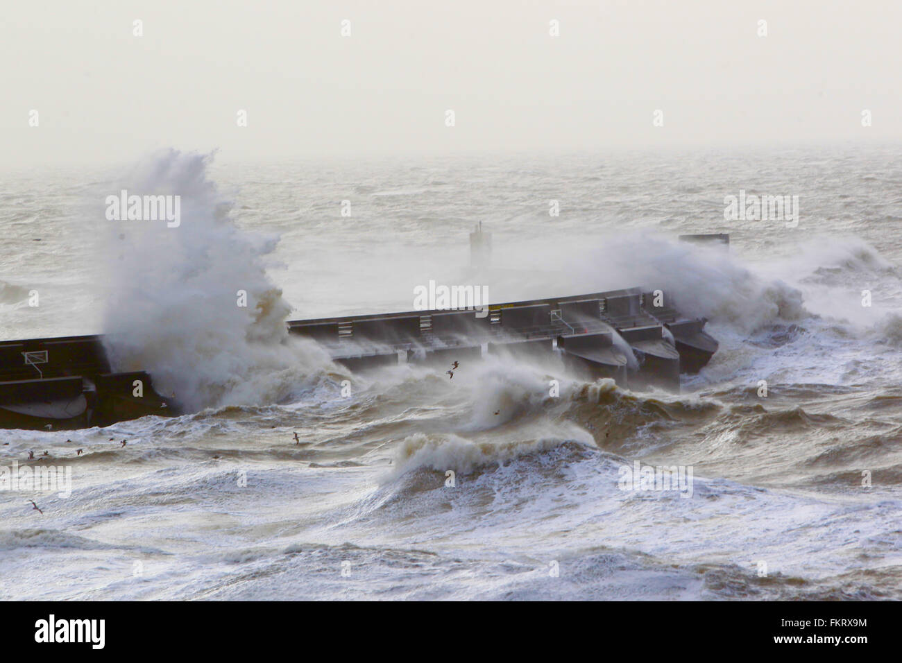 Whipping Waves High Resolution Stock Photography and Images - Alamy