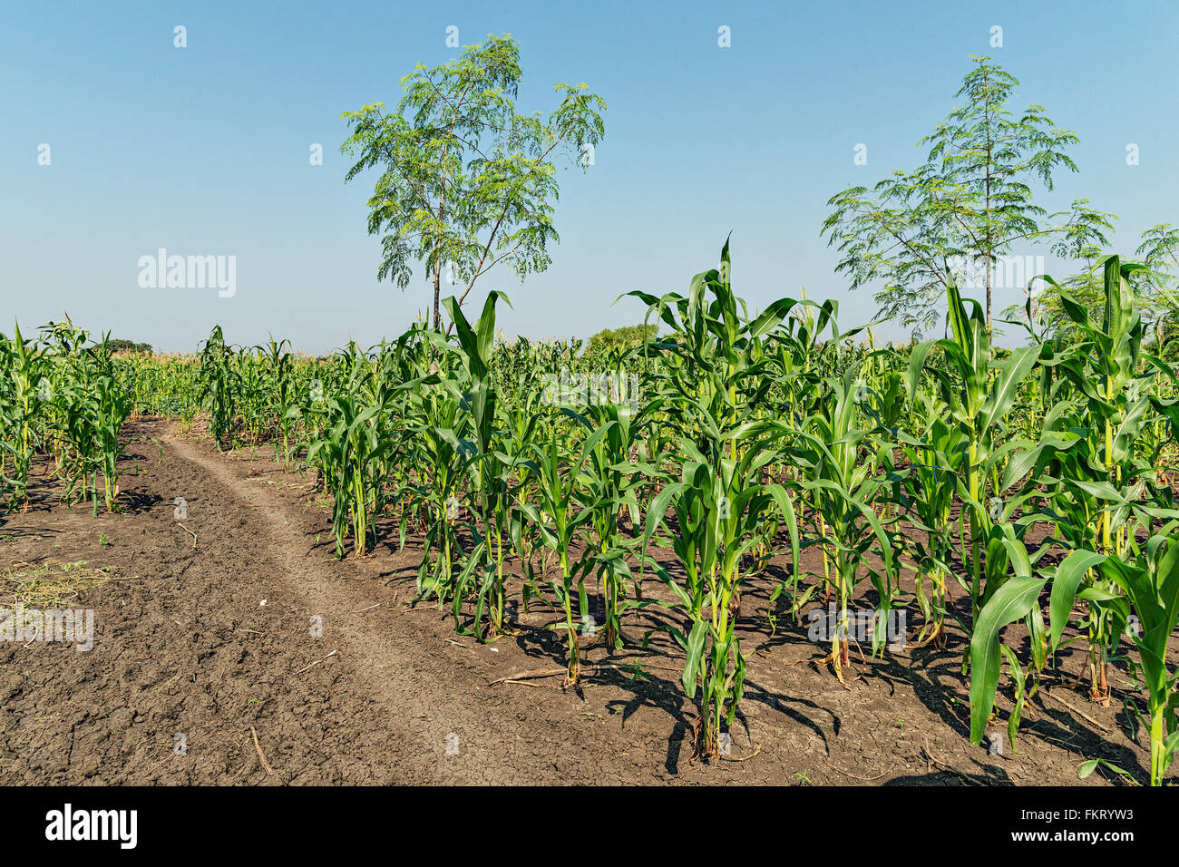 South sudan hi-res stock photography and images - Alamy