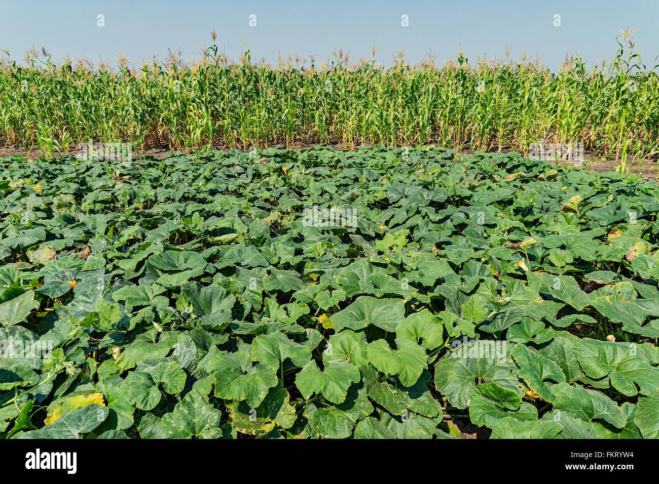 South sudan aid hi-res stock photography and images - Alamy