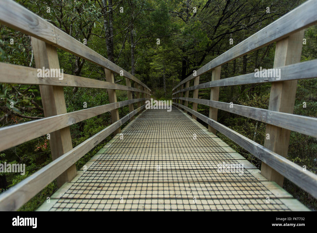 Long wooden pathway on hi-res stock photography and images - Alamy