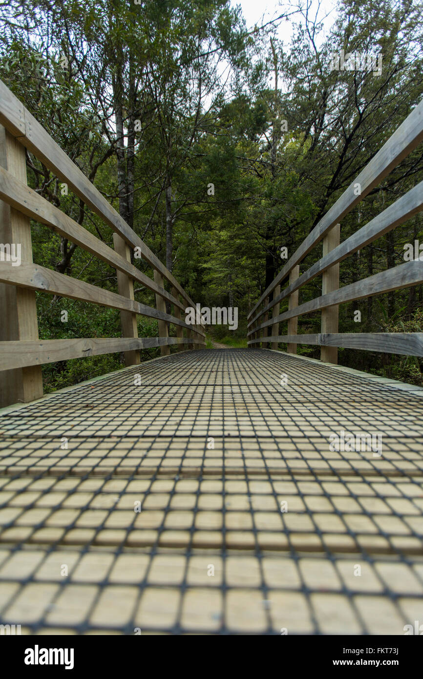Wooden walkway in woods hi-res stock photography and images - Alamy
