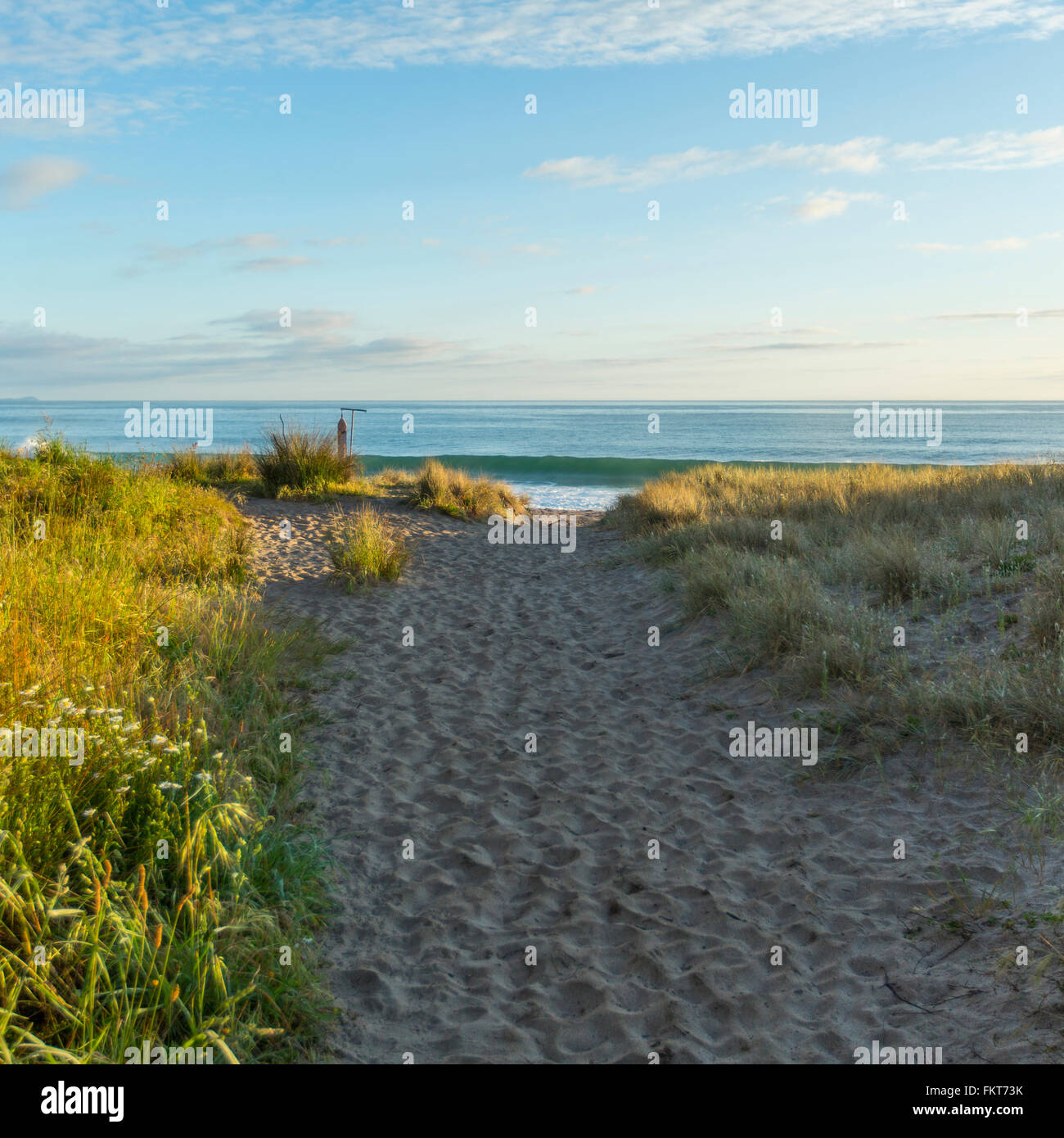 Sandy path on remote beach Stock Photo - Alamy