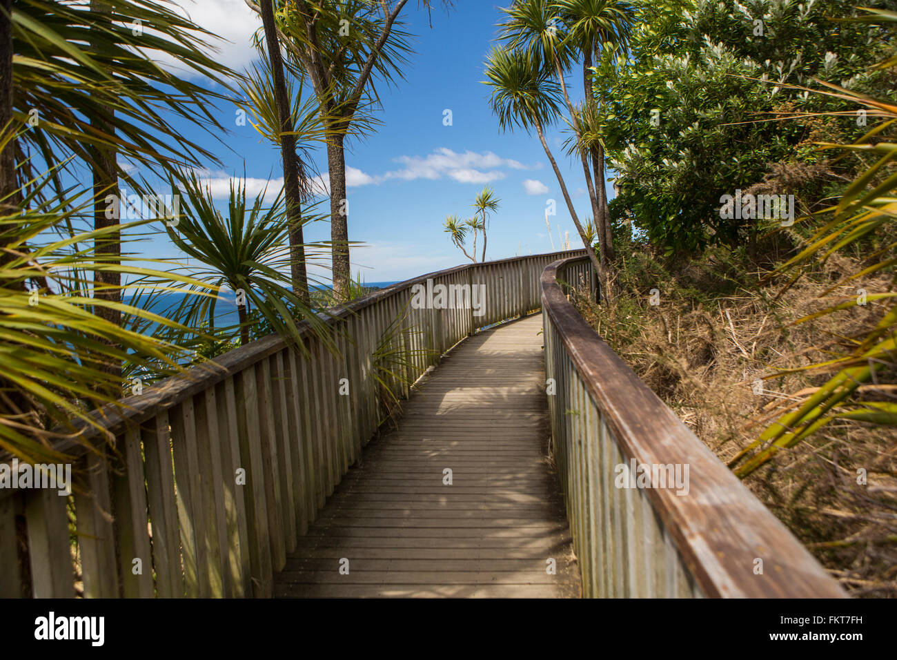 Horizontal shot wooden pathway hi-res stock photography and images - Alamy