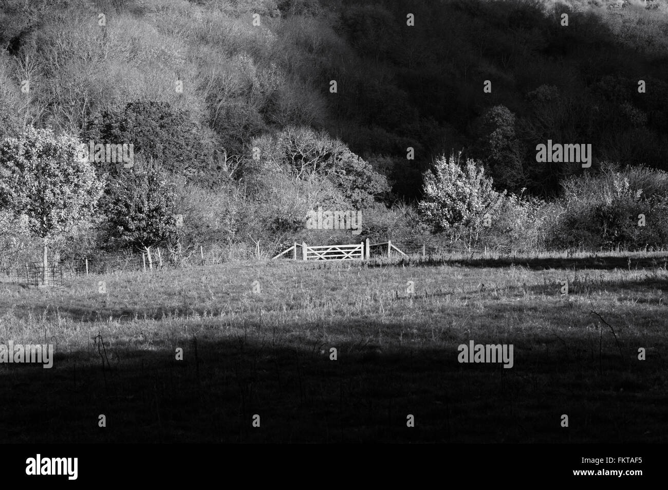 Wooden gate in field Stock Photo - Alamy