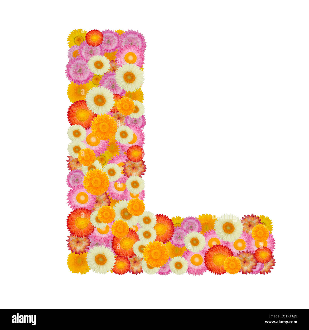 L Typography Font Letter Type Stock Photos & L Typography Font Letter ...