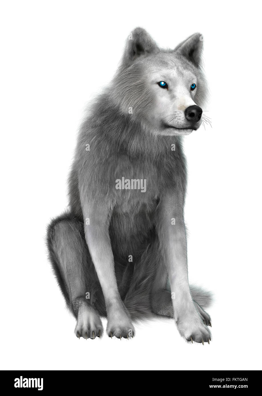 Sitting Wolf Drawing