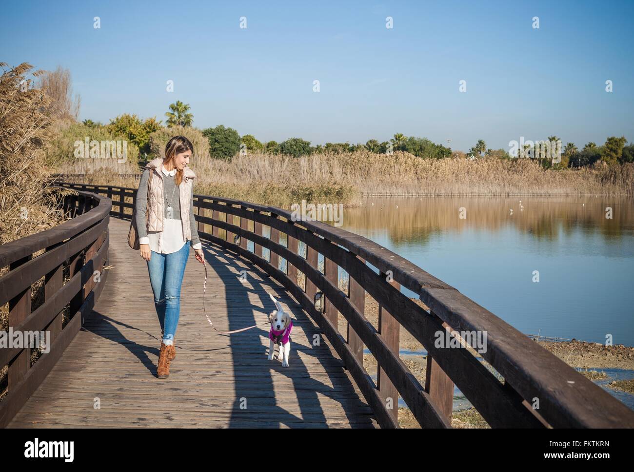 Elevated wooden walkway view hi-res stock photography and images - Alamy
