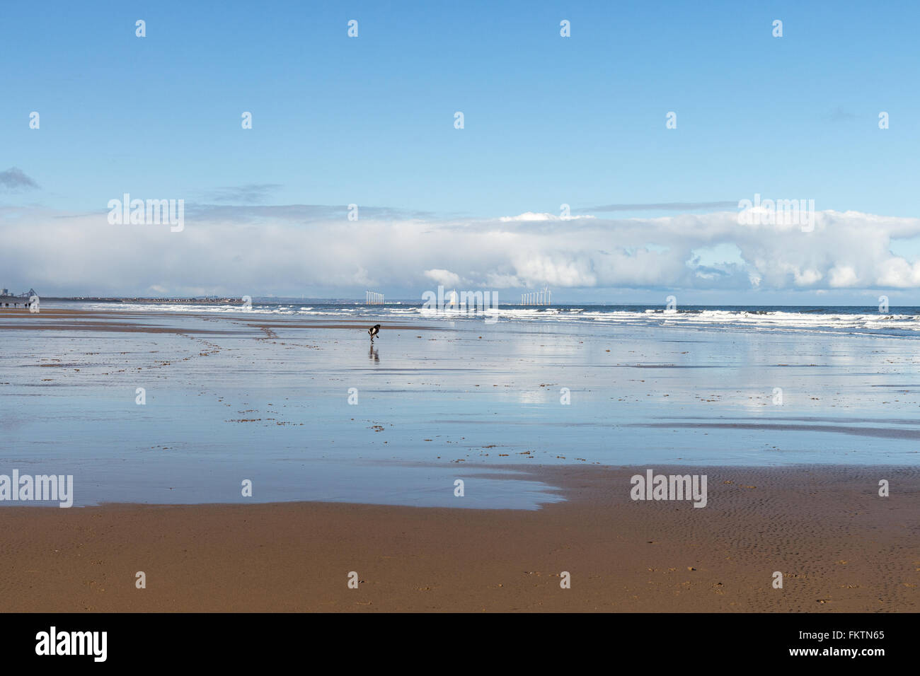 Saltburn, a seaside resort, in North Yorkshire, England, UK on a March ...
