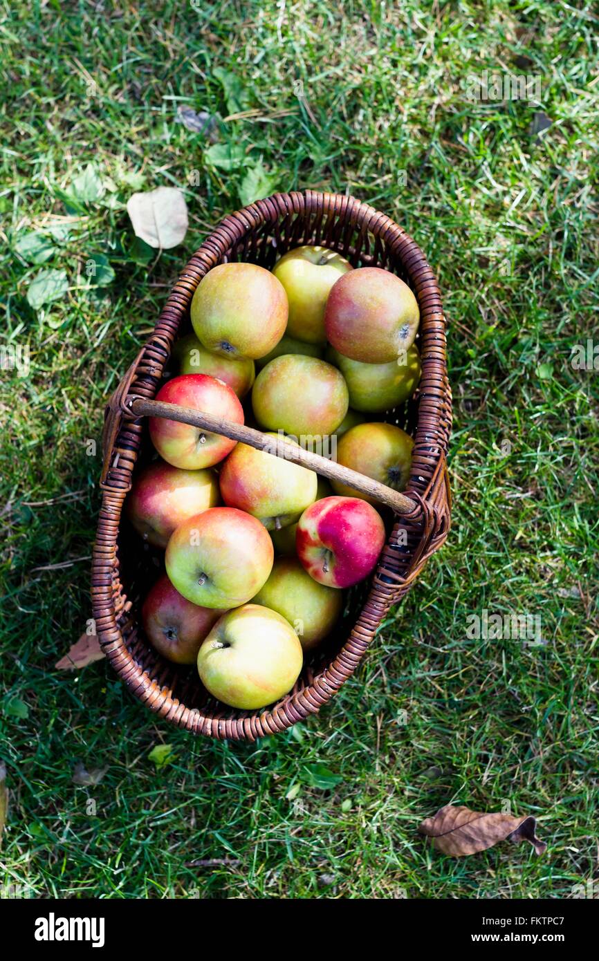 Fresh fruit vegetables in basket hi-res stock photography and images ...