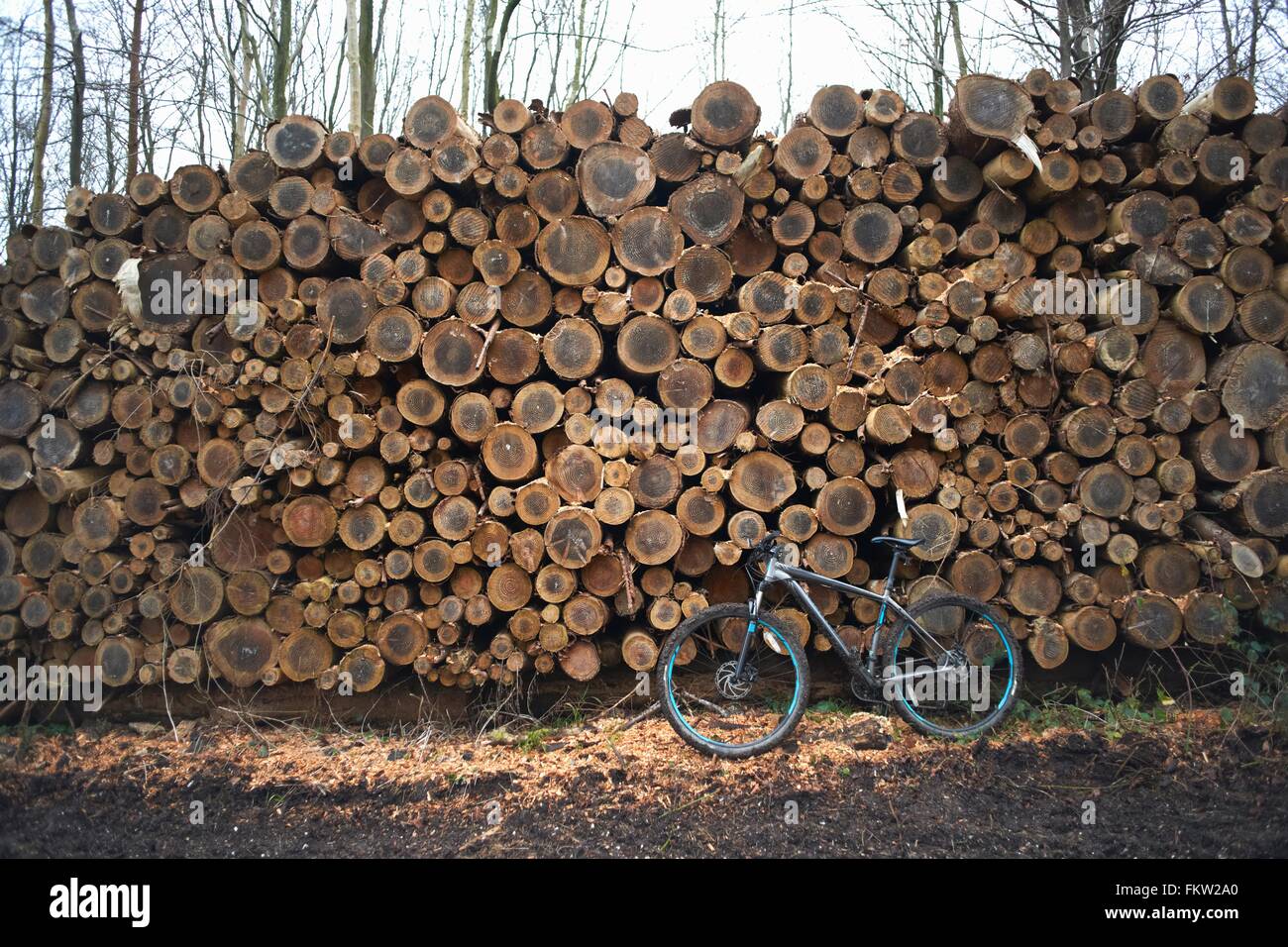 Bike leaning against tree hi-res stock photography and images - Alamy