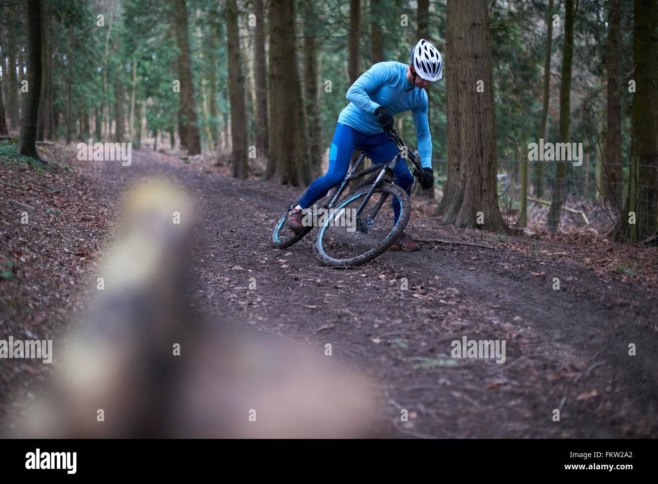 Cyclist on tree lined dirt track wearing cycling helmet falling off ...