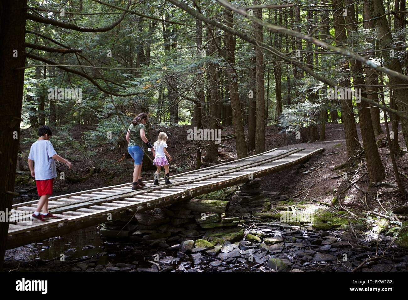 Children in forest hi-res stock photography and images - Alamy