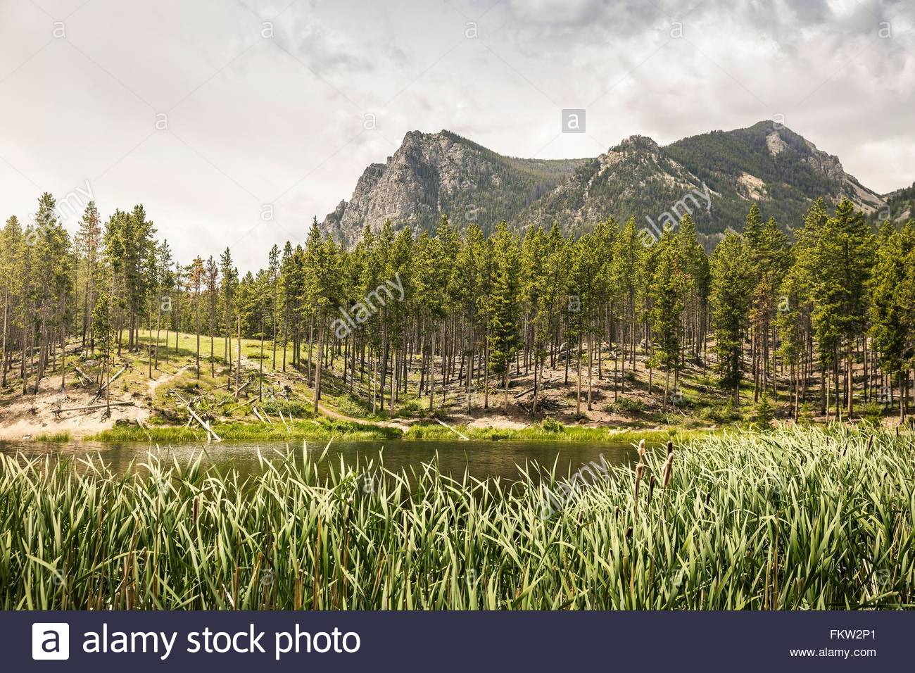 Greenough Stock Photos & Greenough Stock Images - Alamy