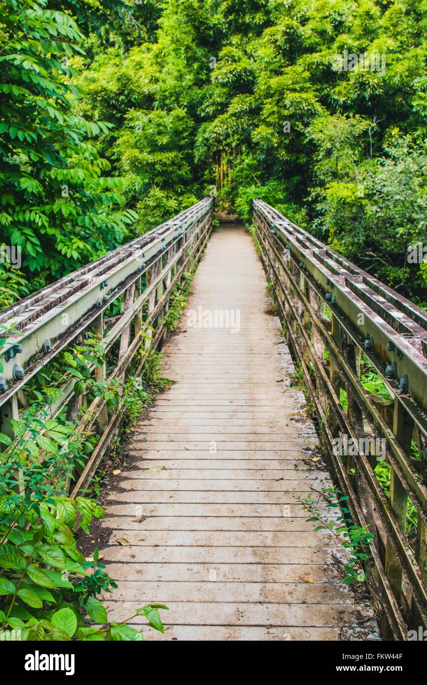 Hawaiian structures hi-res stock photography and images - Alamy