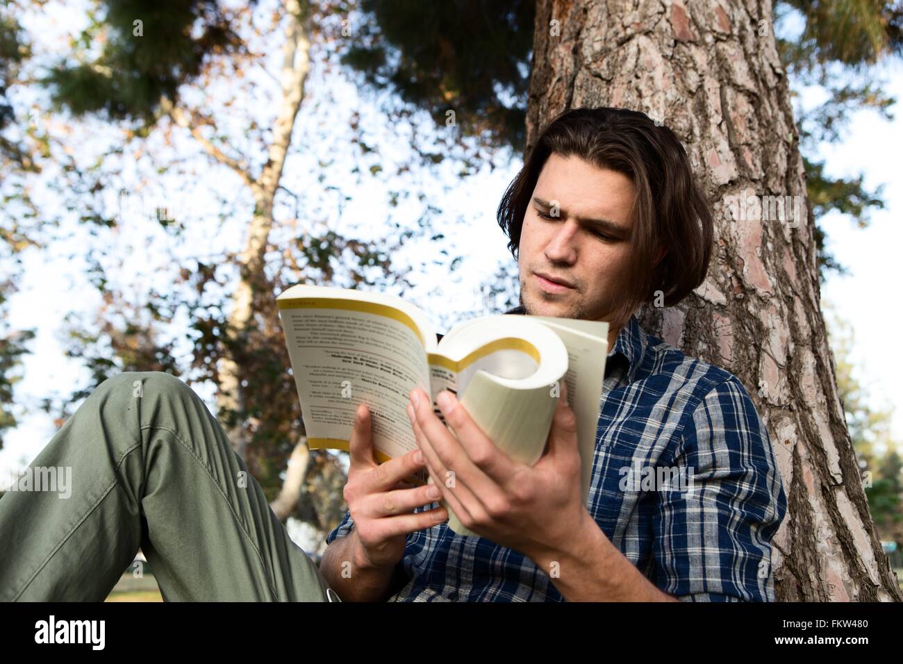 Low angle view of young man sitting against tree reading book Stock ...