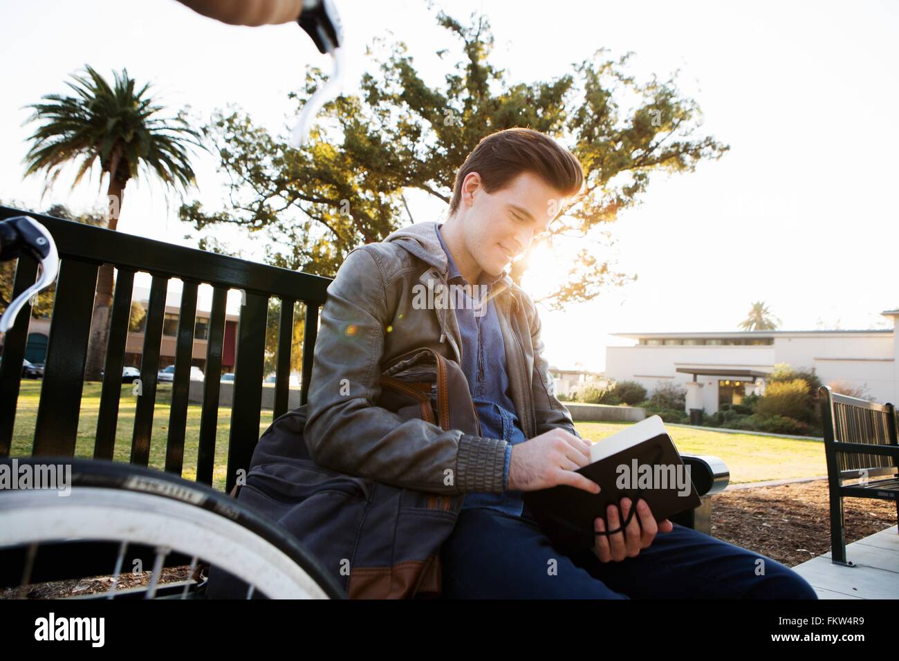 Young man reading book on sunlit park bench Stock Photo - Alamy