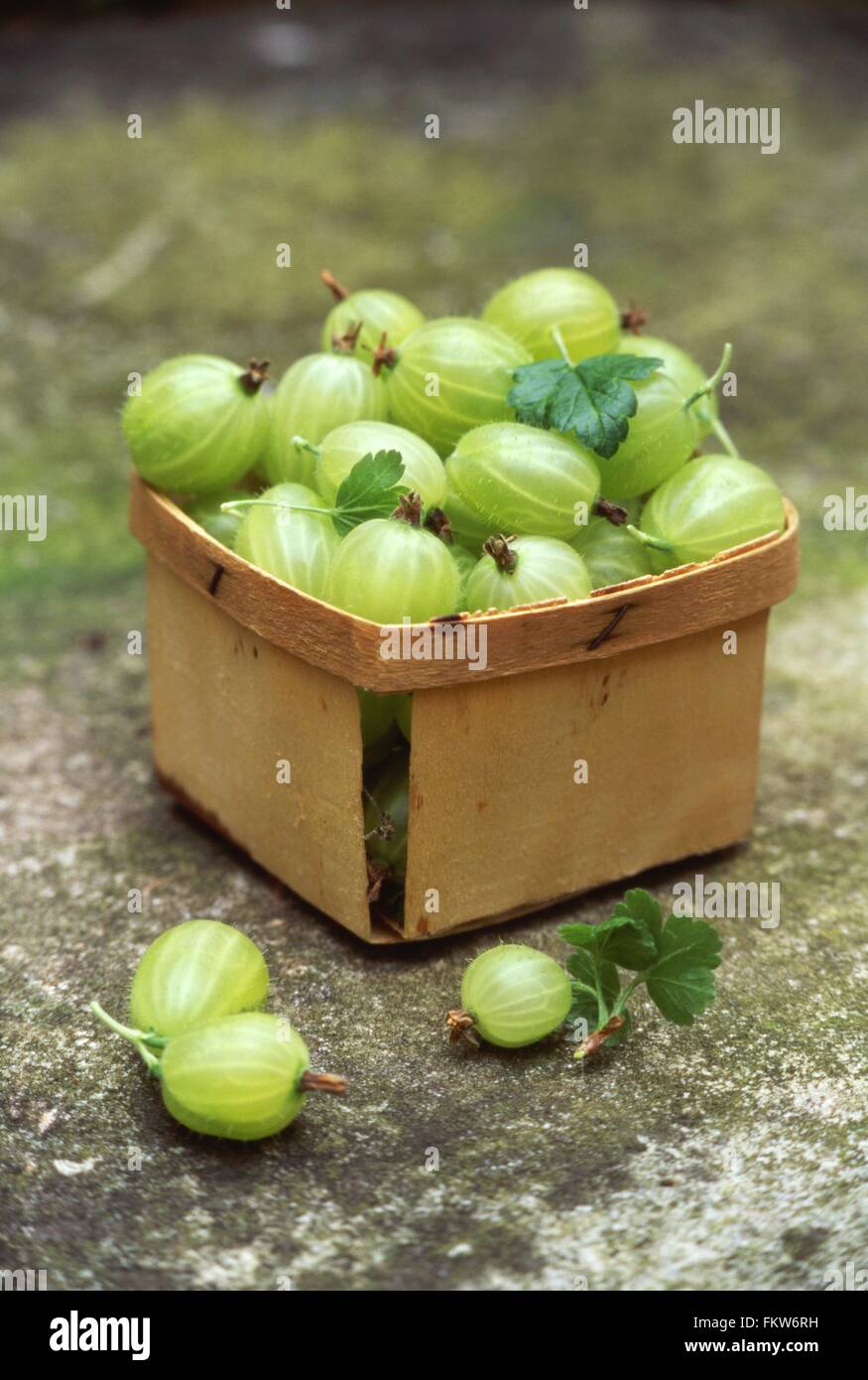 Wooden punnet freshly picked gooseberries outdoors Stock Photo - Alamy