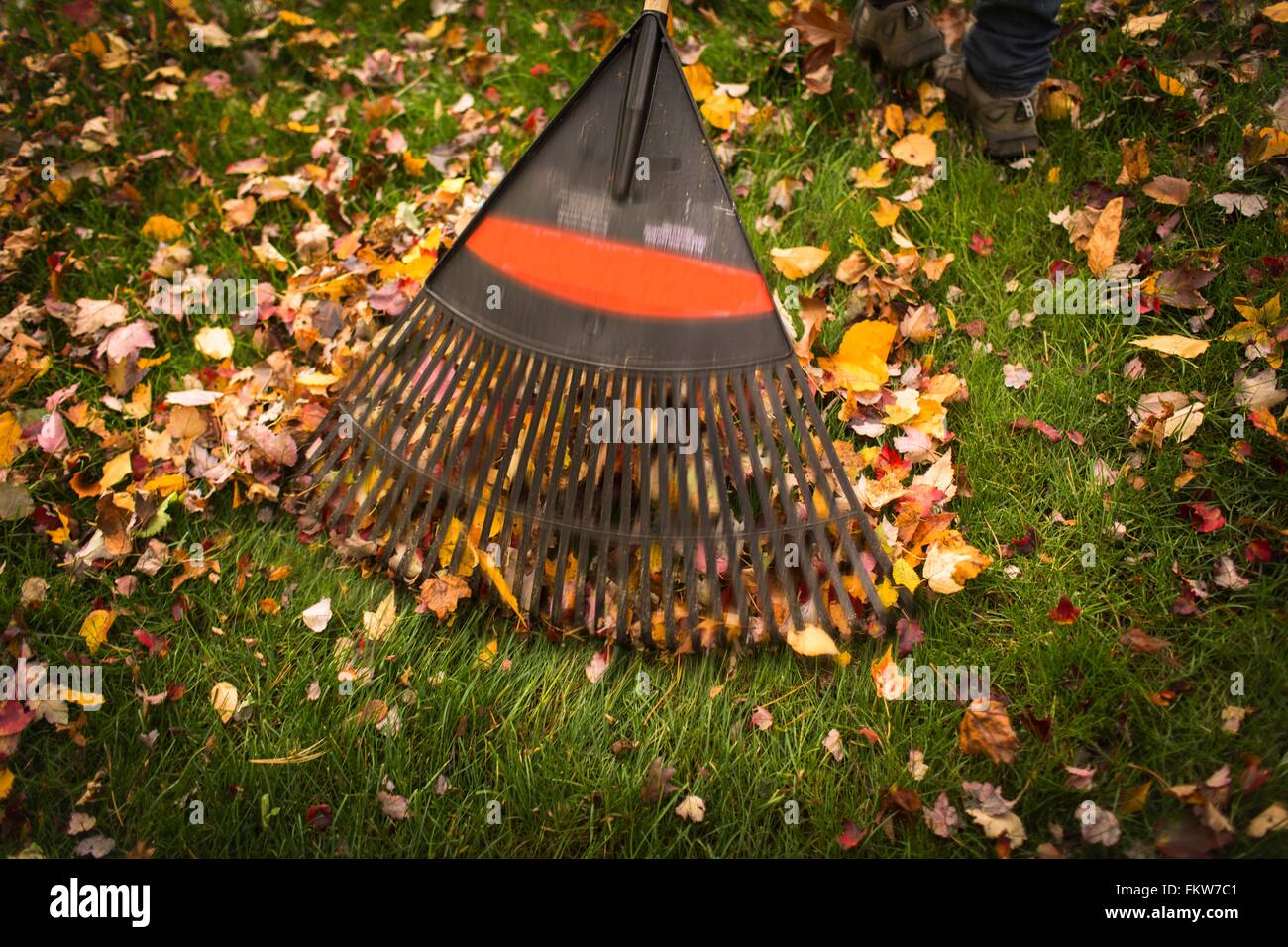 Garden rake and foot hi-res stock photography and images - Alamy