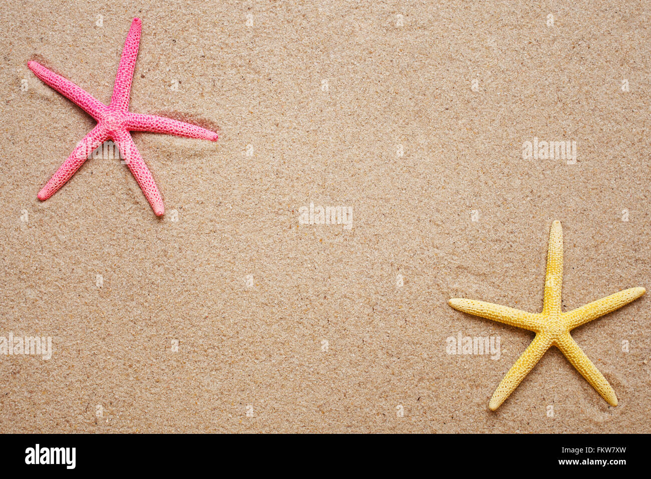 Sea shells on sand.red and yellow Shell Starfish Stock Photo - Alamy
