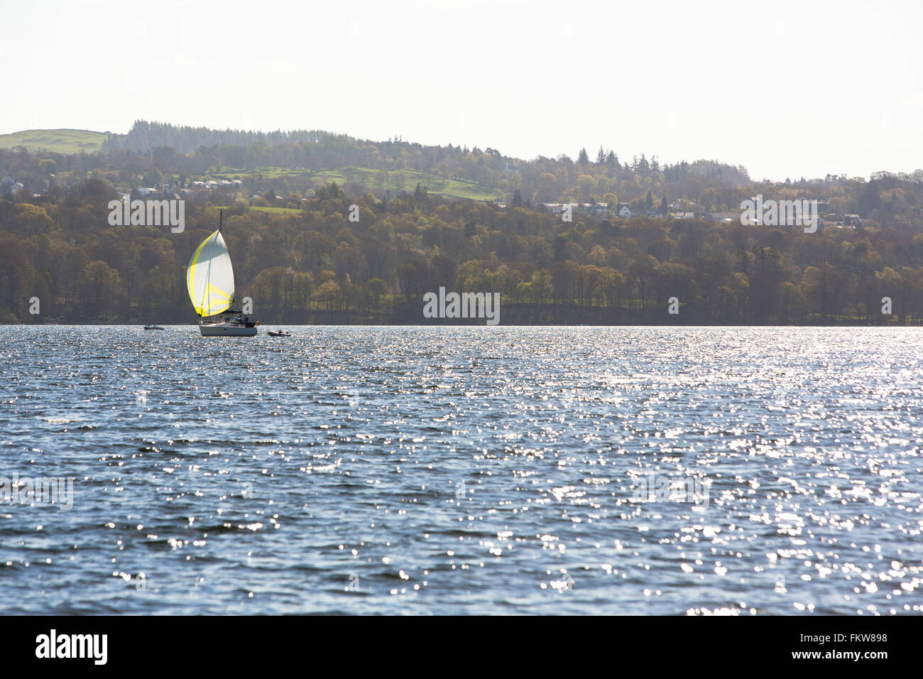 Yachts with white billowing sails on Lake Windermere Stock Photo - Alamy