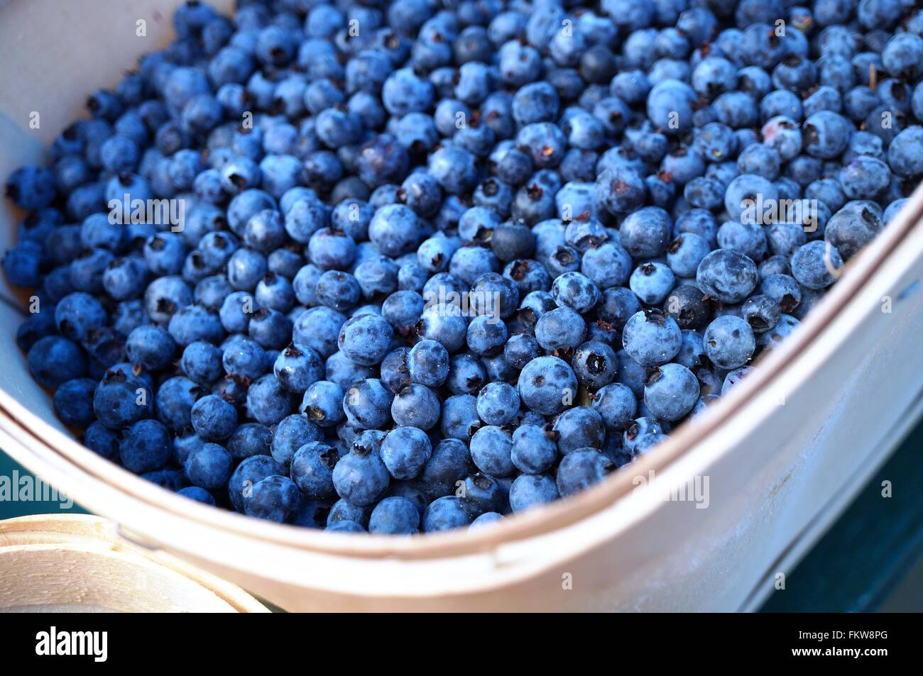 Wild blueberries (bleuets) at a Canadian farmers market Stock Photo - Alamy