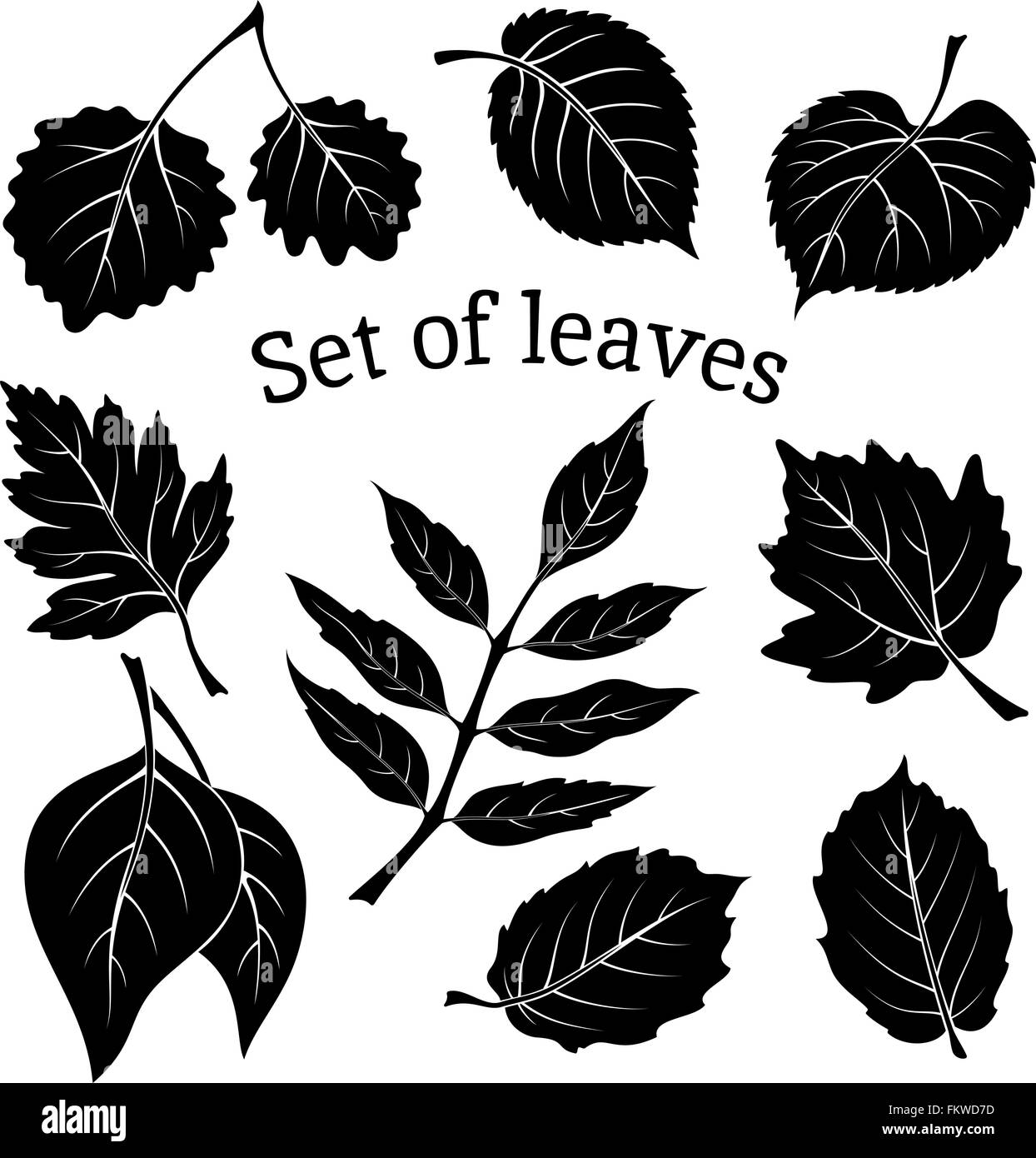 Leaves of Plants Pictogram Set Stock Vector Image & Art - Alamy