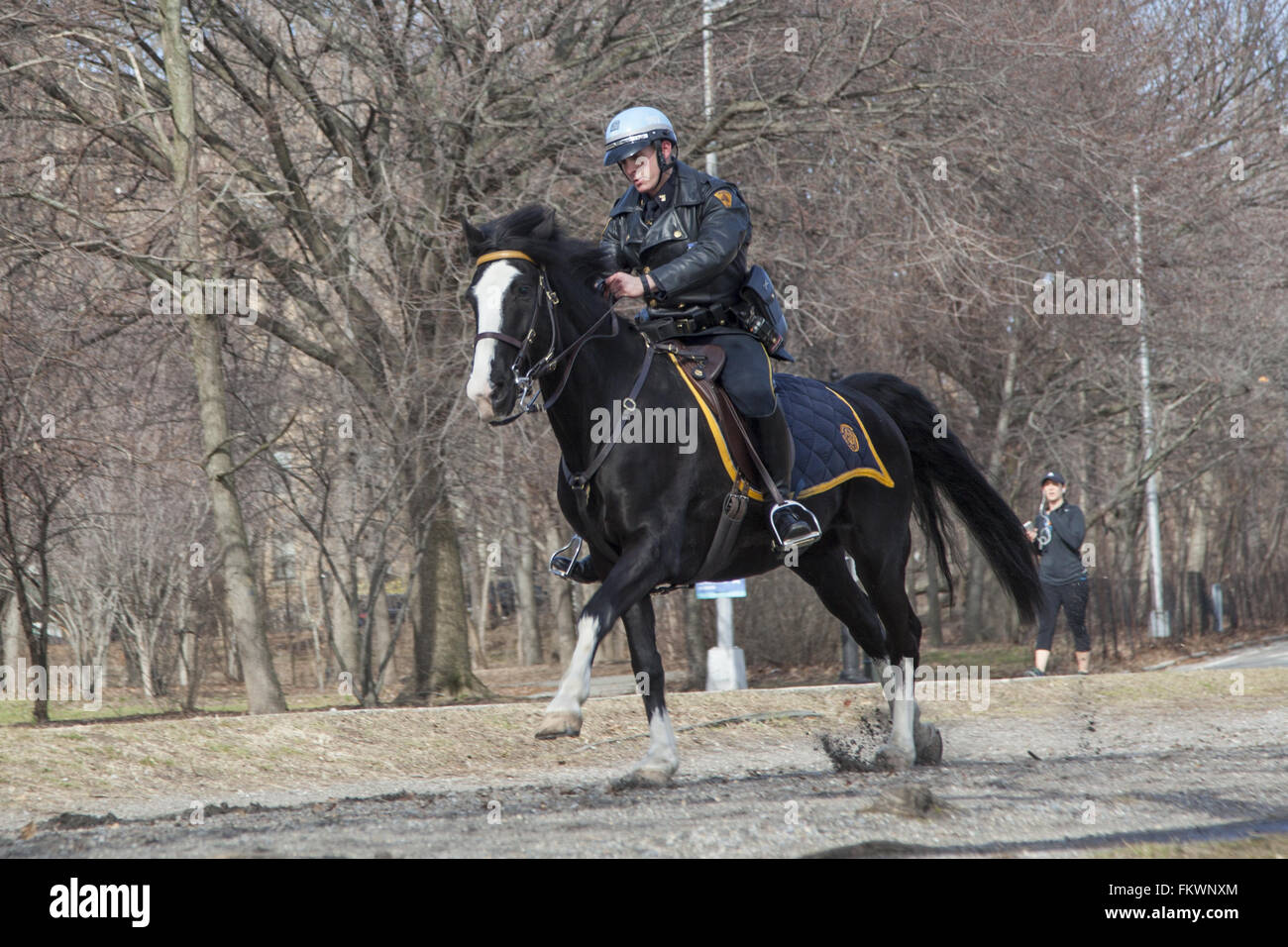 NYPD mounted policeman gives his horse a workout in Prospect Park ...