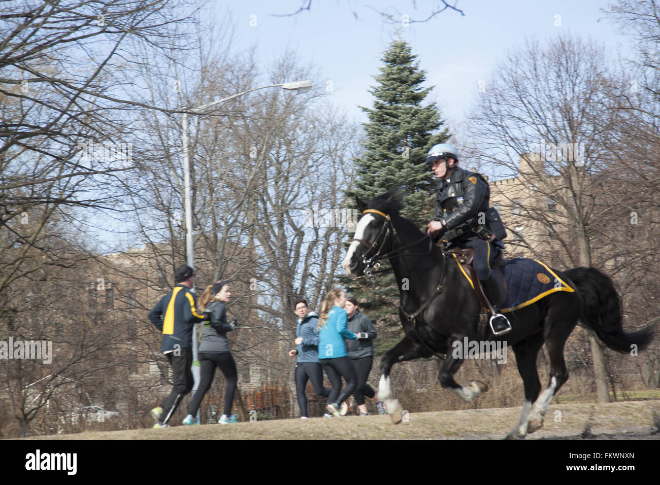 NYPD mounted policeman gives his horse a workout in Prospect Park ...
