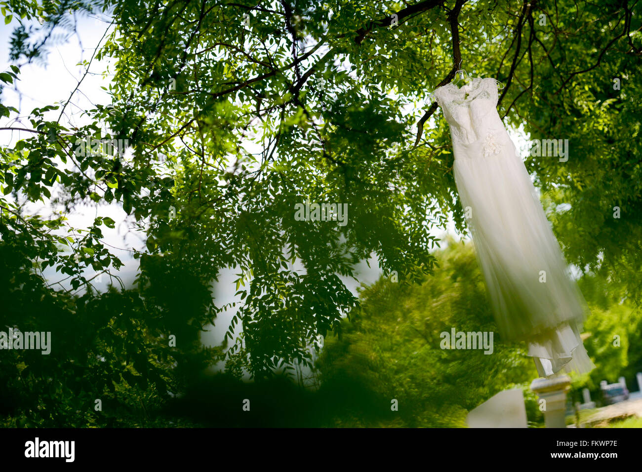 Wedding dress hanging in tree Stock Photo - Alamy