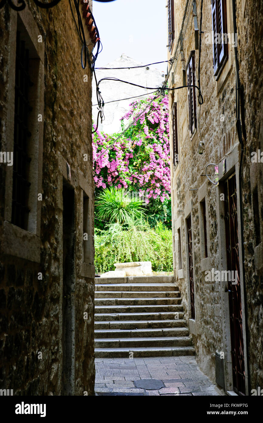 Split,Medieval Architecture,Squares,Alleyways,Diocletian's Roman Palace ...