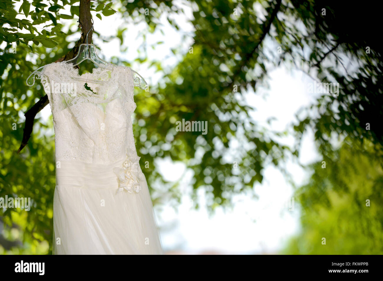 Wedding dress hanging in tree Stock Photo - Alamy