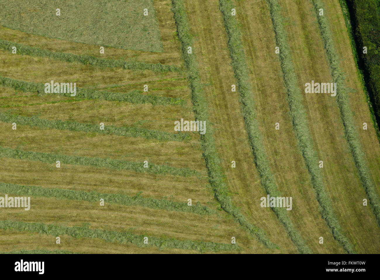 An aerial view of farming in Cornwall Stock Photo - Alamy