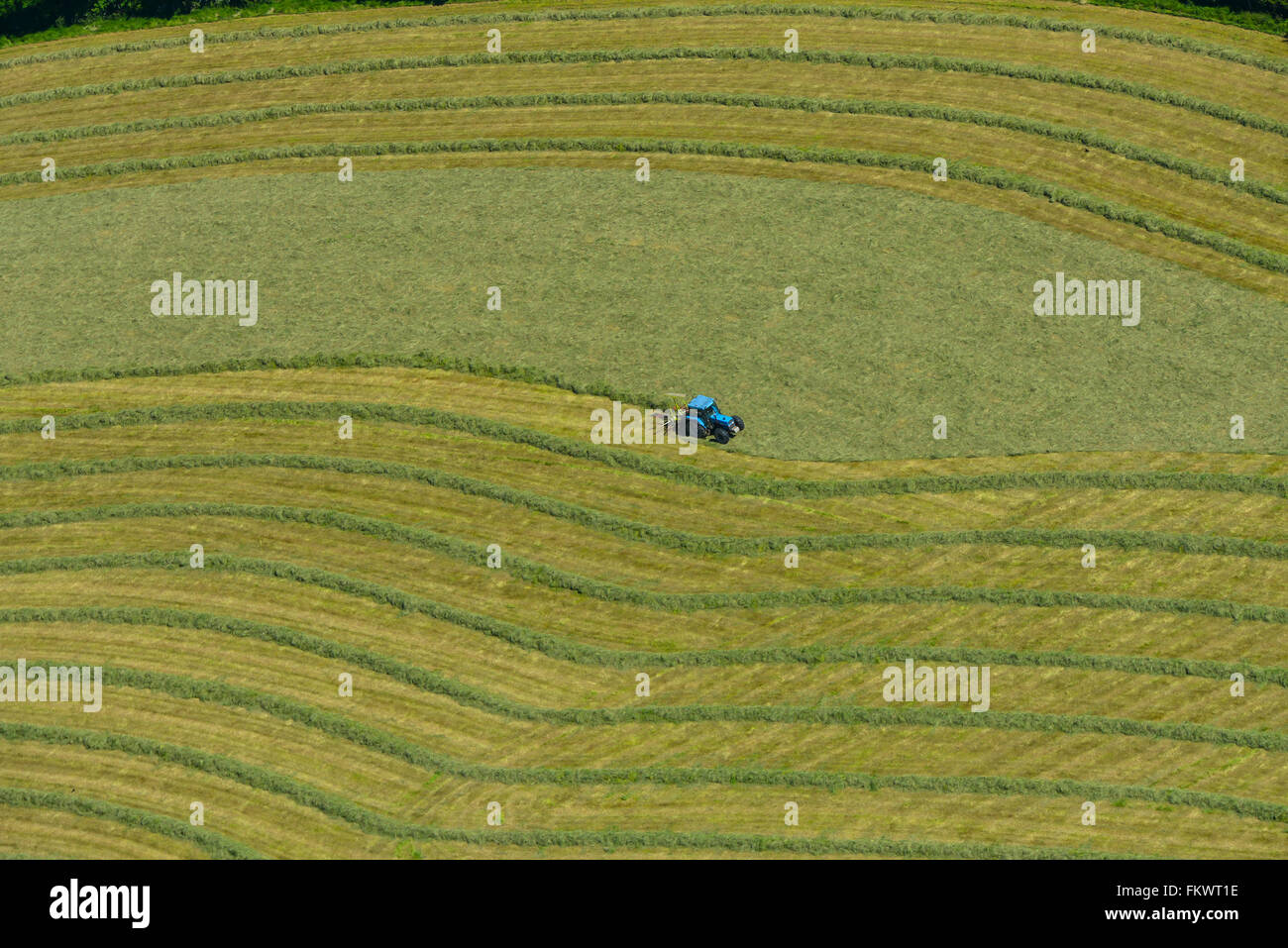 An aerial view of farming in Cornwall Stock Photo - Alamy