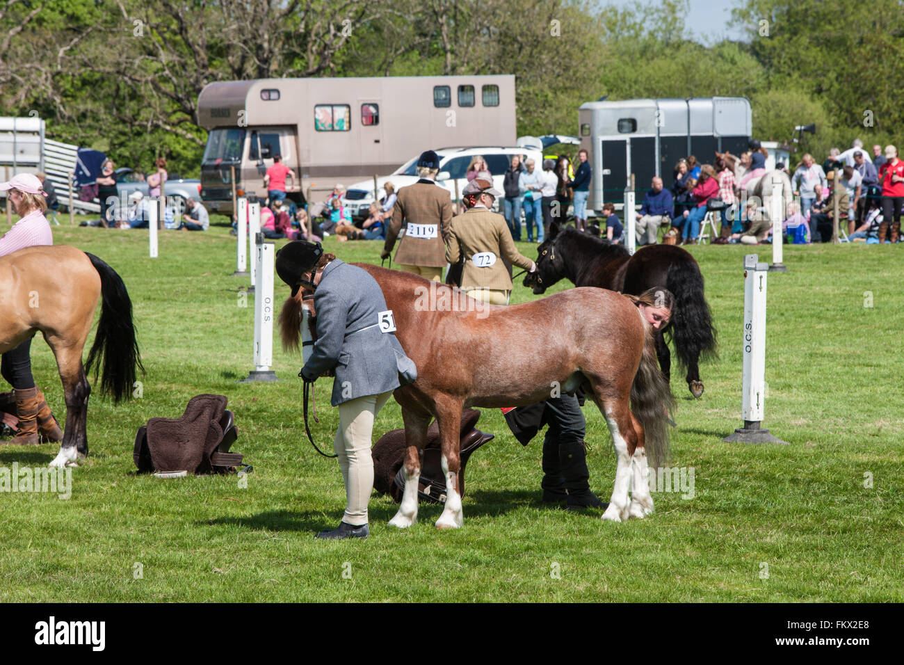 Cothi bridge agricultural horse pony near show hi-res stock photography ...