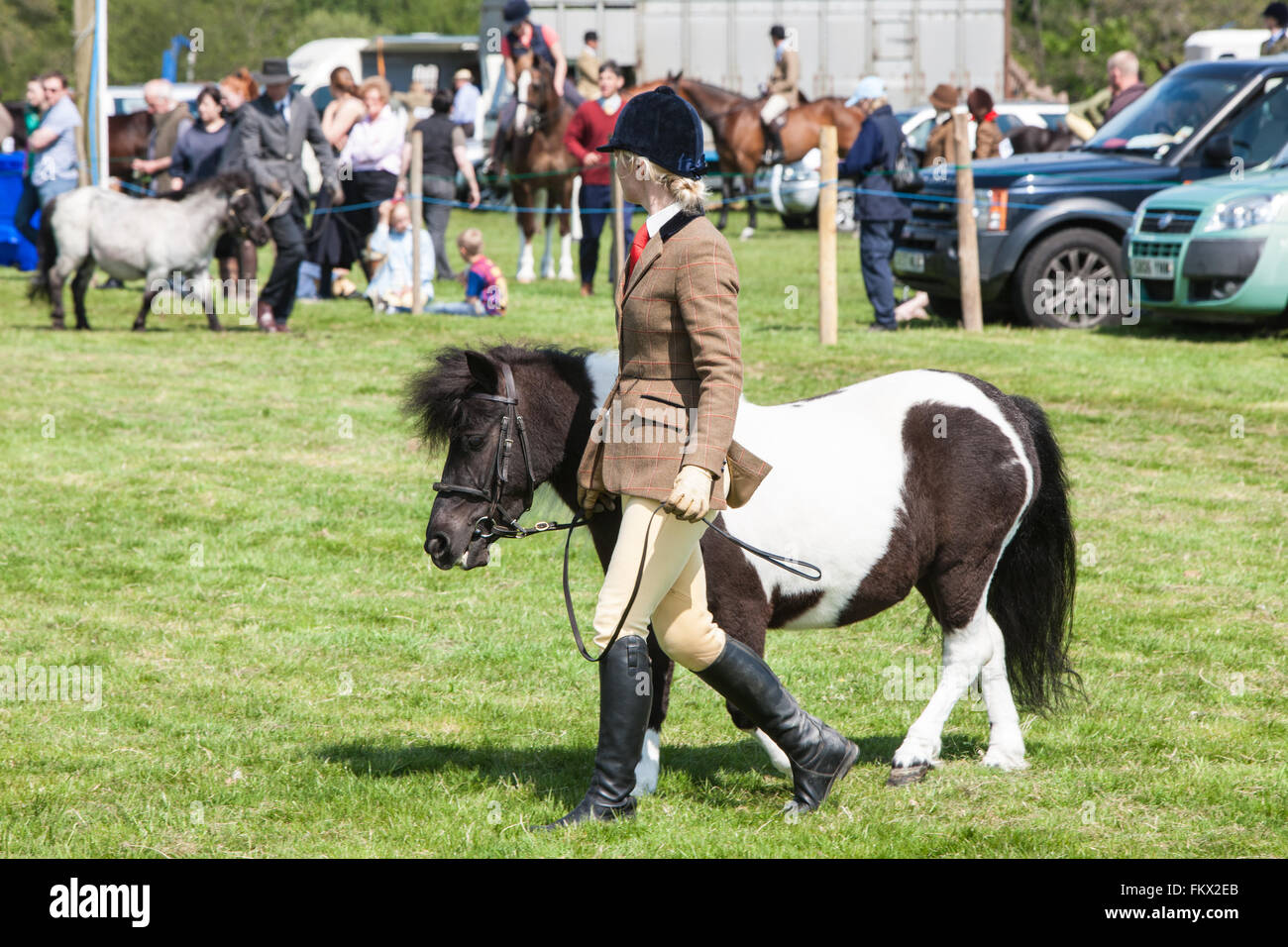 At Cothi Bridge Agricultural,horse and pony show,near Llandeilo ...