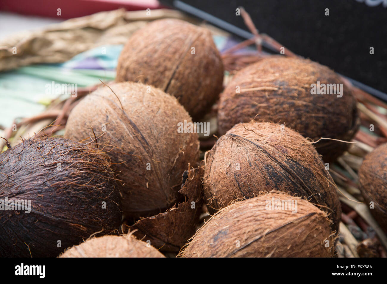 Hairy coconuts hi-res stock photography and images - Alamy