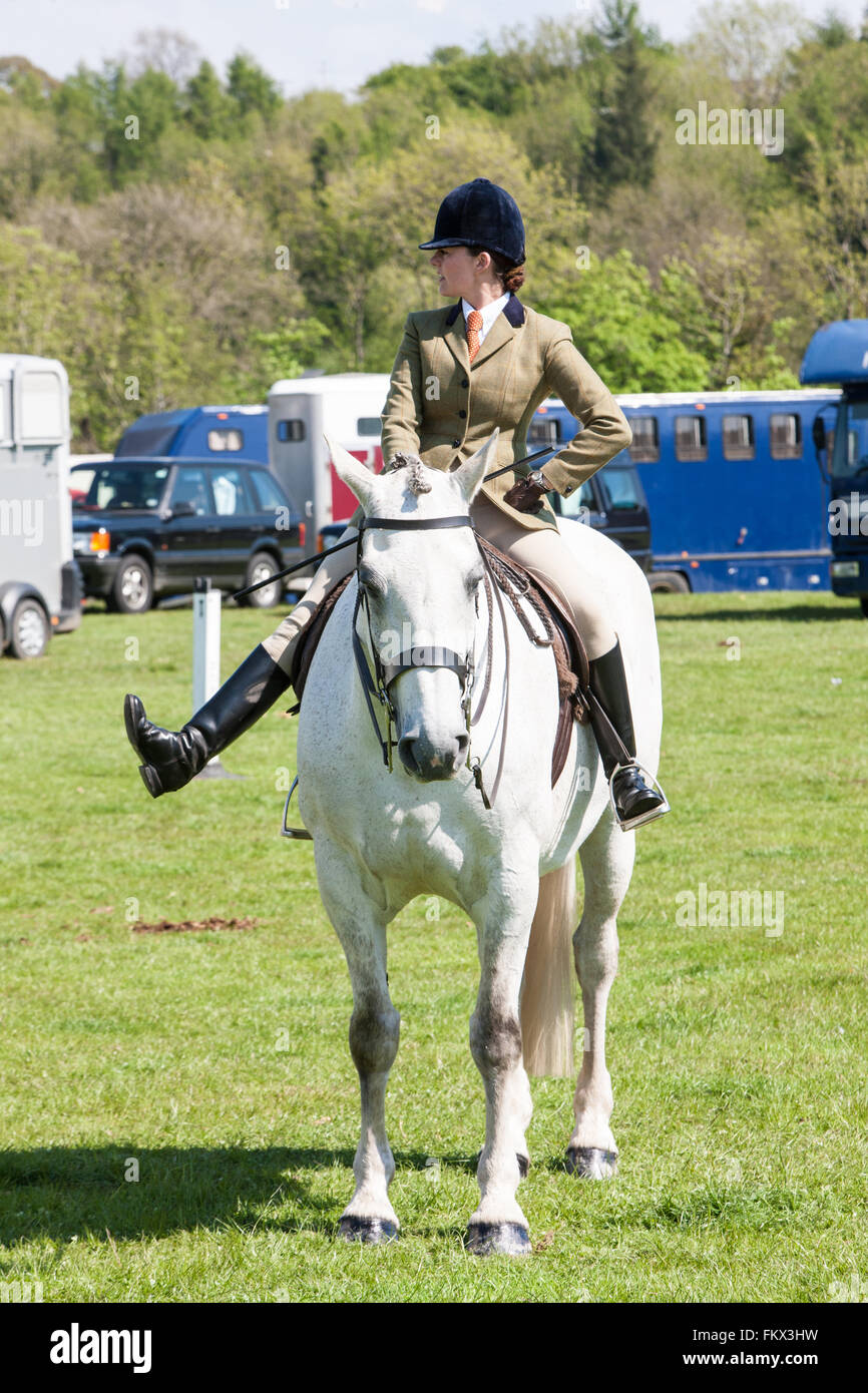 Cothi bridge agricultural horse pony near show hi-res stock photography ...