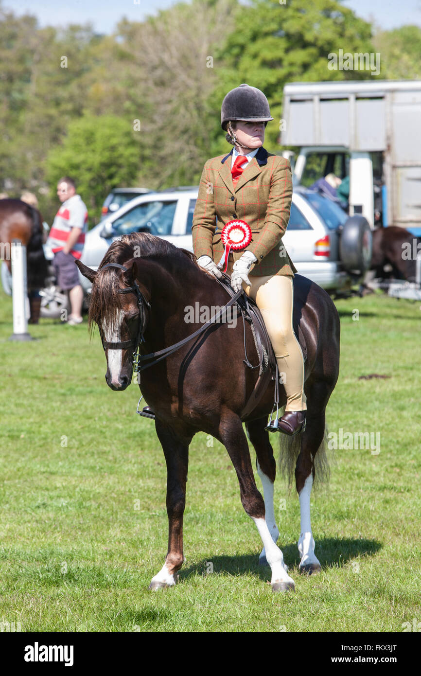 Cothi bridge agricultural horse pony near show hi-res stock photography ...