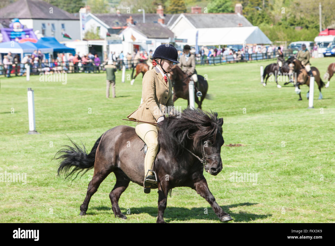Girls riding shetland pony hi-res stock photography and images - Alamy