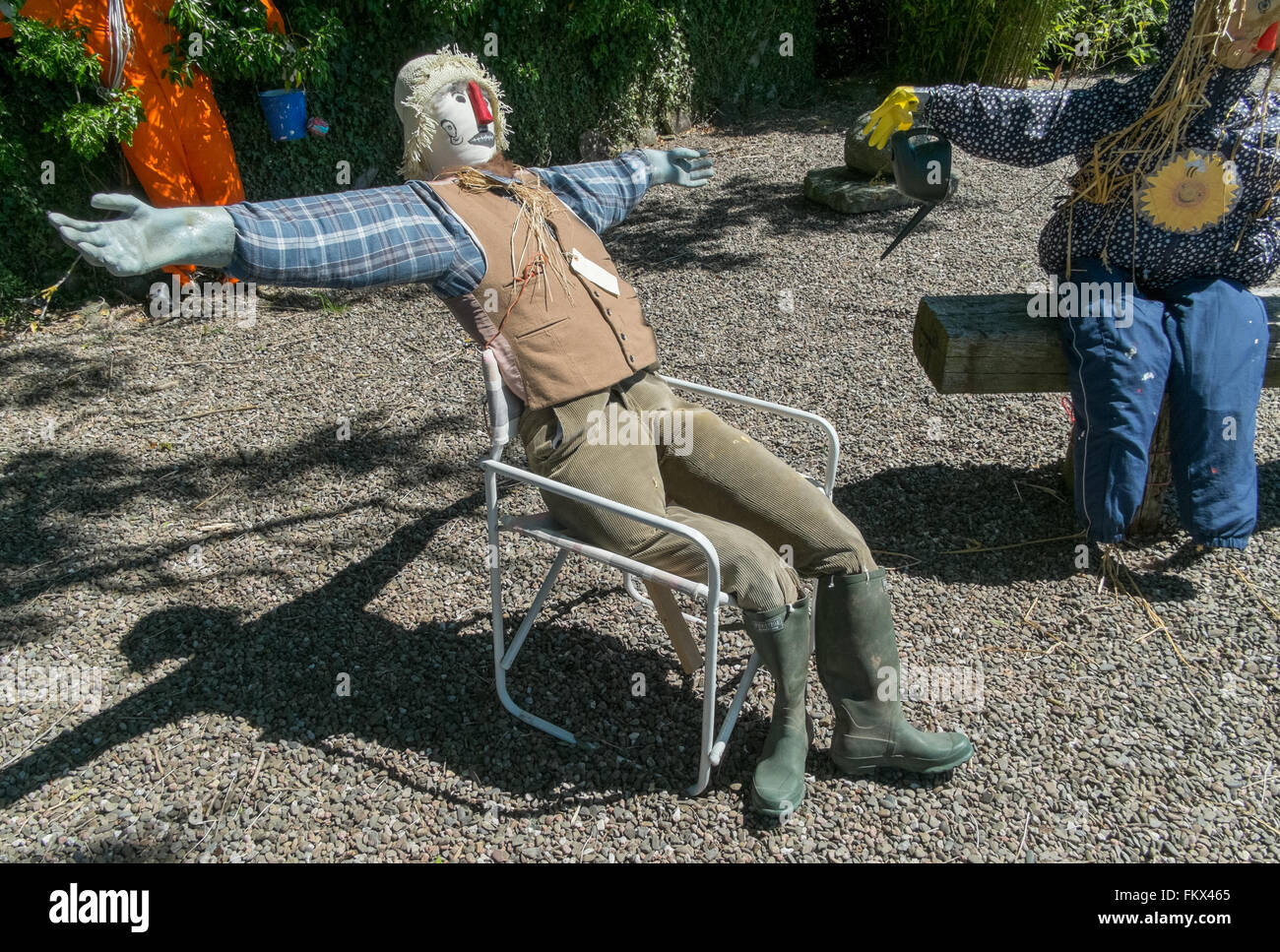 Smart scarecrow hi-res stock photography and images - Alamy