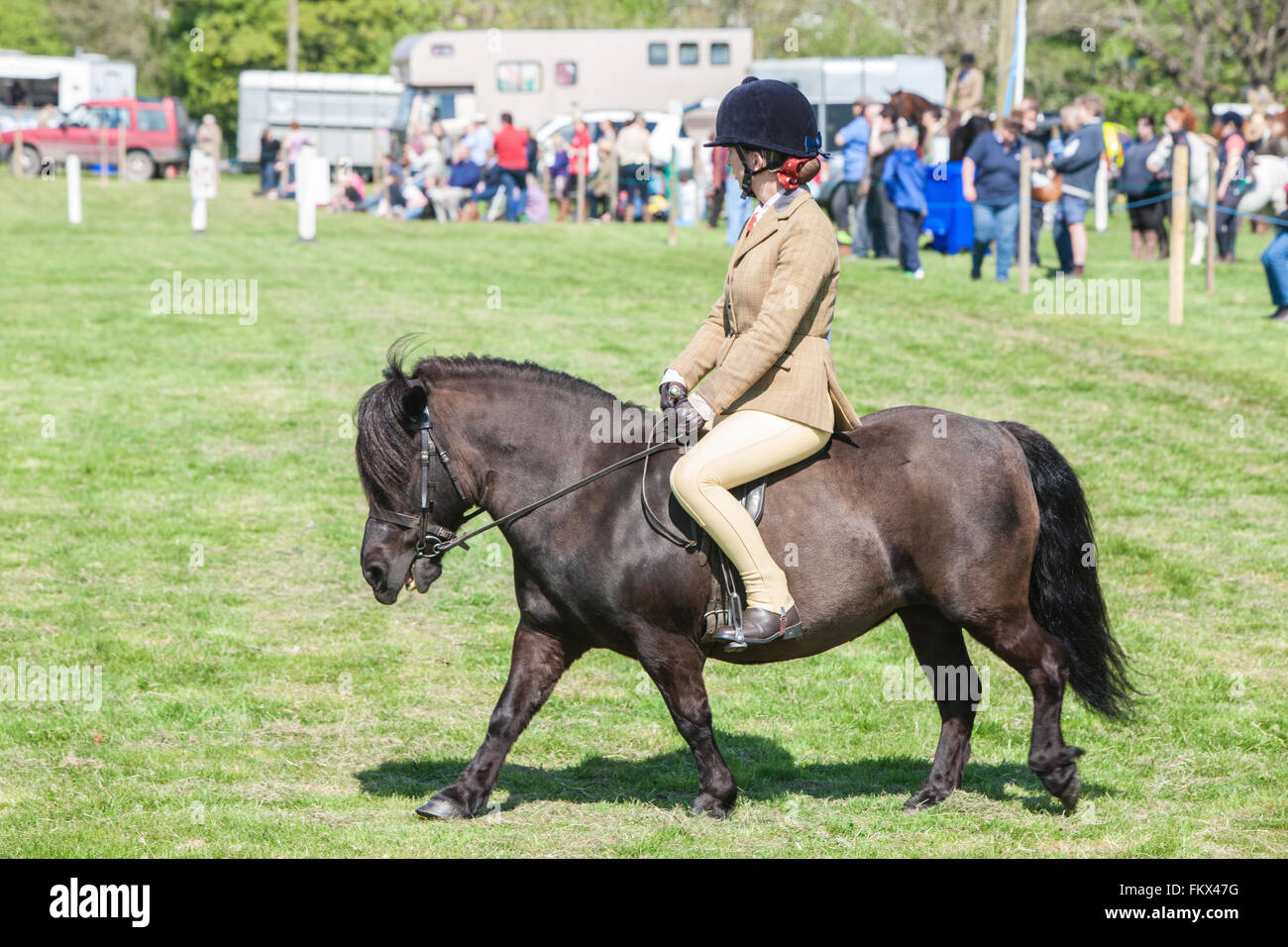 At Cothi Bridge Agricultural,horse and pony show,near Llandeilo ...