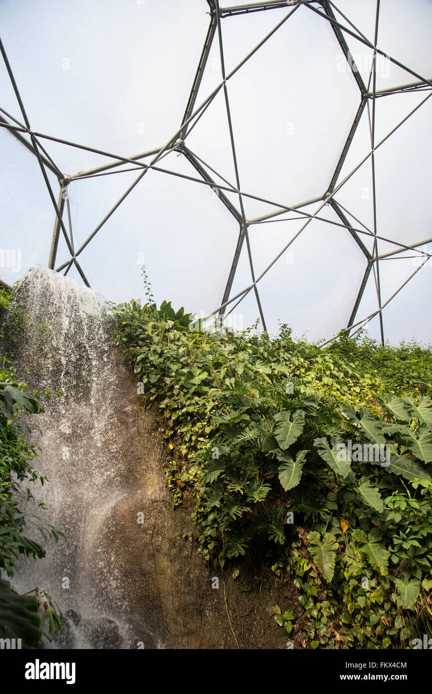 The waterfall in the Rainforest, Eden Project Stock Photo - Alamy