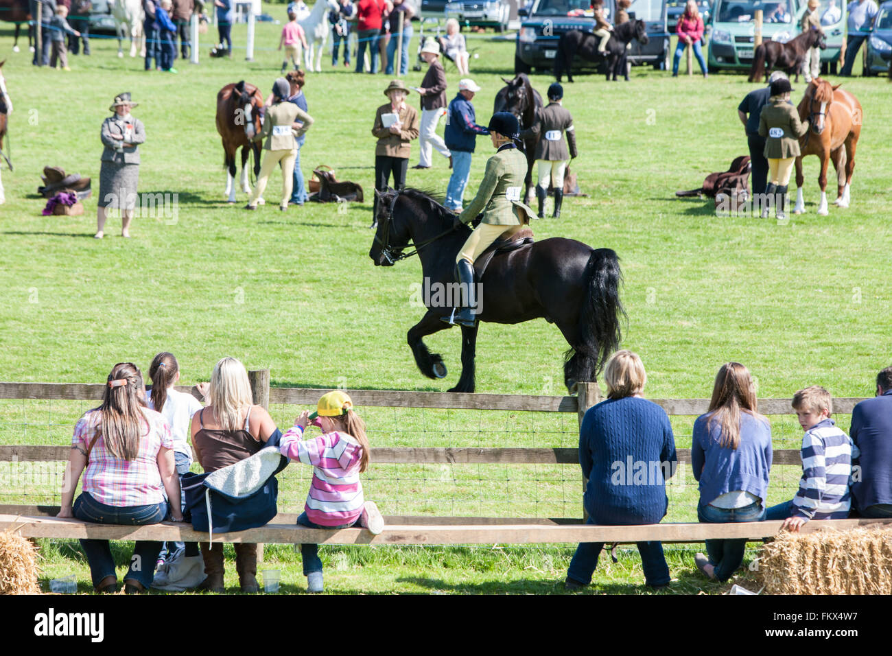 Cothi bridge agricultural horse pony near show hi-res stock photography ...