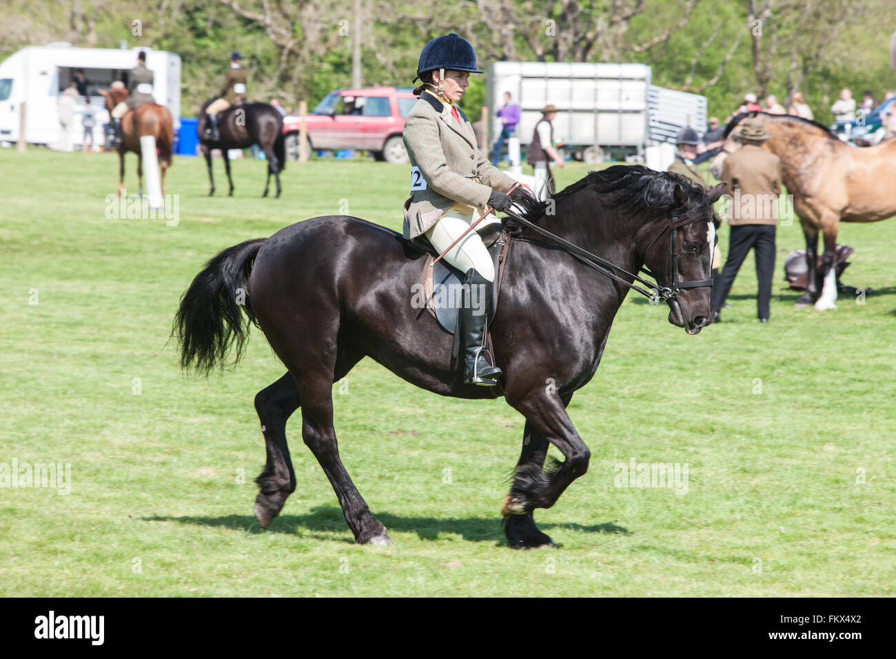 Girls riding shetland pony hi-res stock photography and images - Alamy