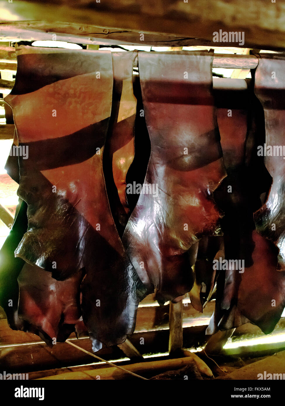 Tanning leather hi-res stock photography and images - Alamy